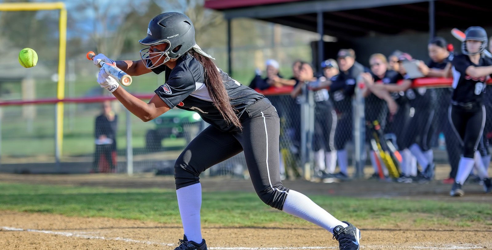 Tyler Burke - Softball - Southern Oregon University Athletics