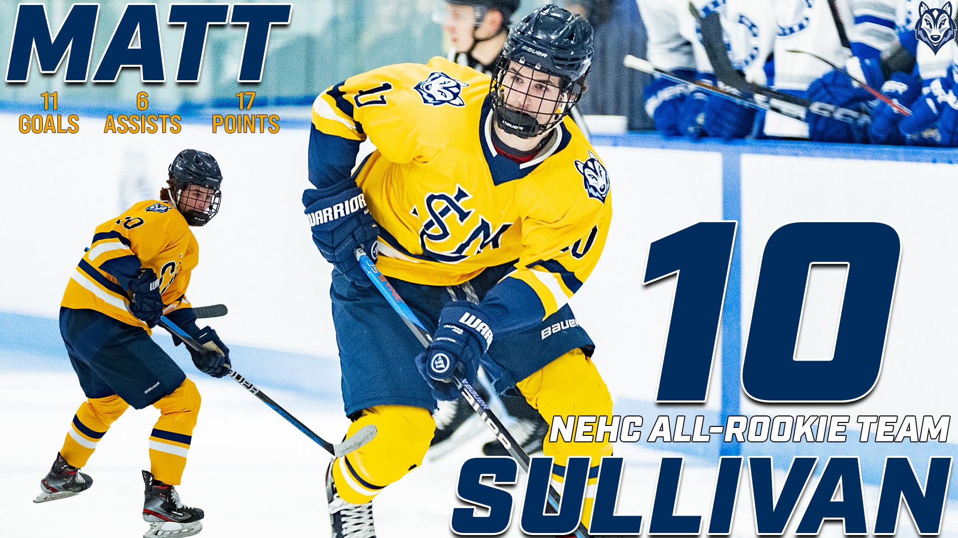 Join Southern Maine Men’s Ice Hockey in the Fight Against Cancer ...