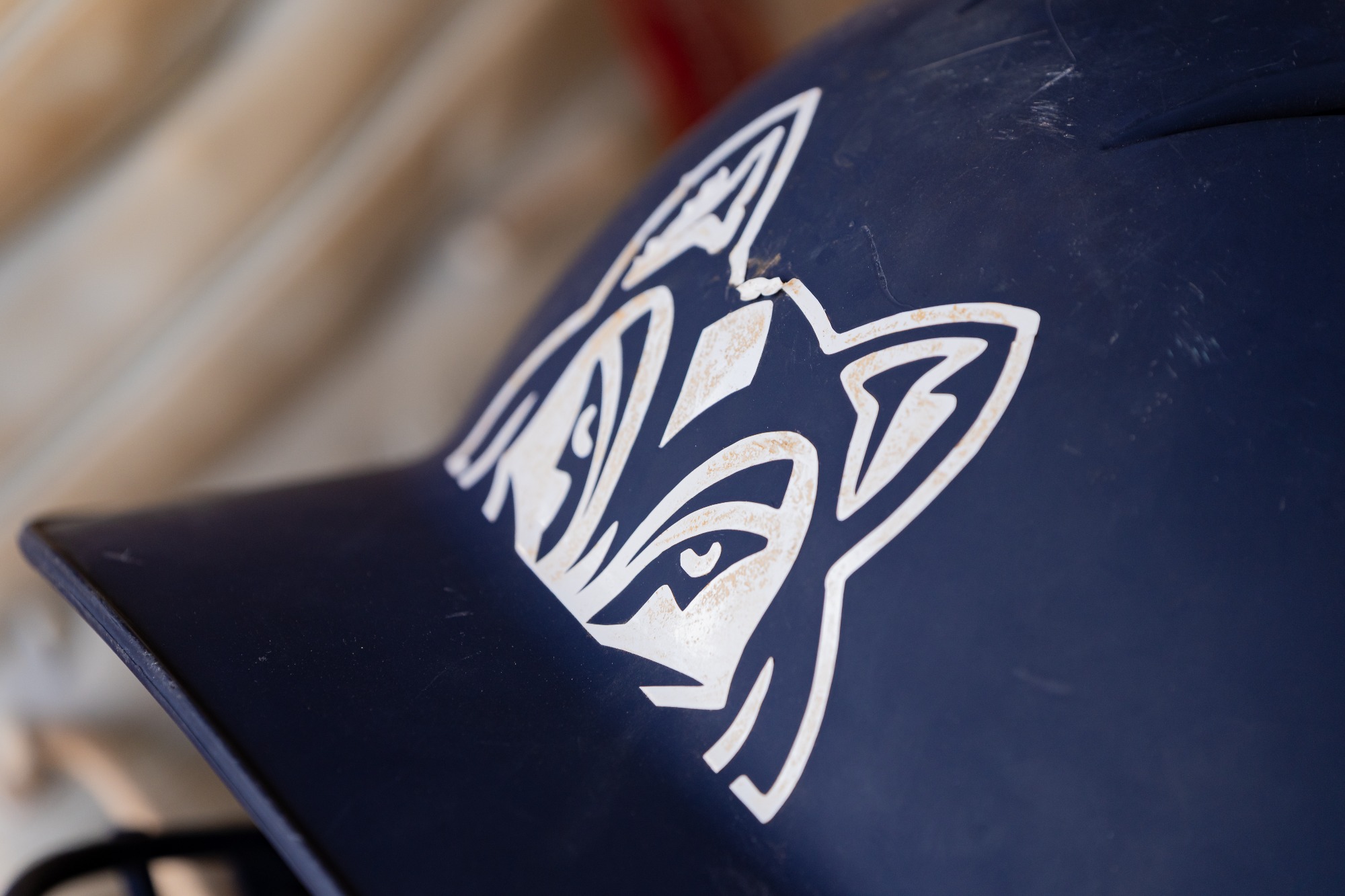 Rhode Island College Takes Two From Huskies 11-0, 3-2 - University of ...