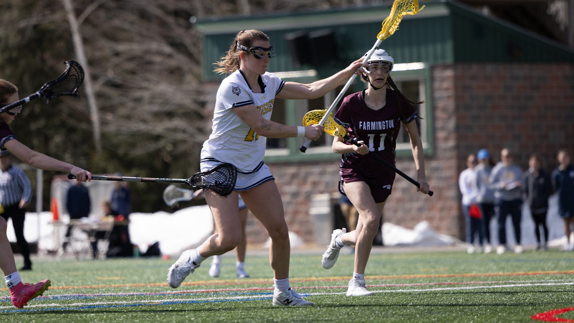 Katelyn D'Appolonia Named Little East Conference Offensive Player and ...