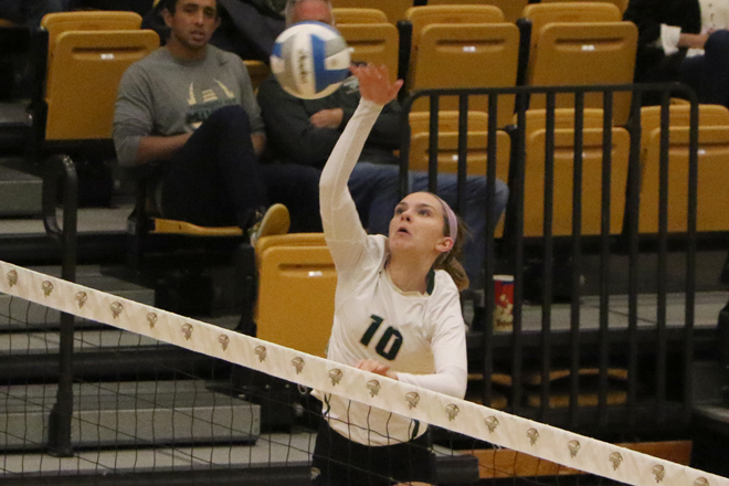 Ellen Schulz - 2018 - Women's Volleyball - Missouri S&T Athletics
