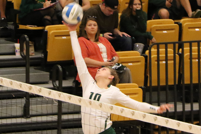 Ellen Schulz - 2018 - Women's Volleyball - Missouri S&T Athletics