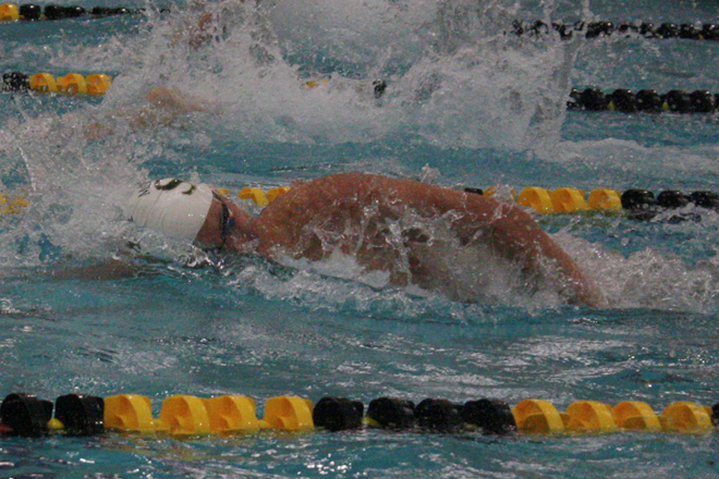 Max Grogan - 2017-18 - Men's Swimming - Missouri S&T Athletics