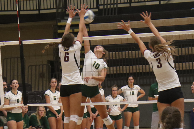 Ellen Schulz - 2018 - Women's Volleyball - Missouri S&T Athletics