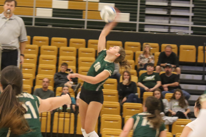 Ellen Schulz - 2018 - Women's Volleyball - Missouri S&T Athletics