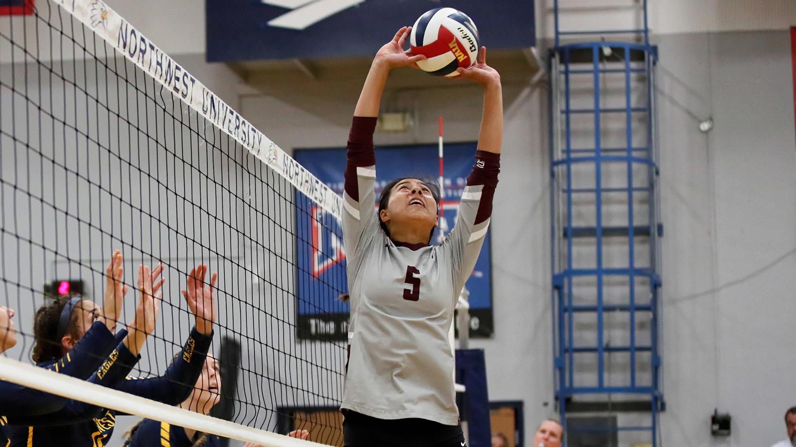 Austin Ibale - Volleyball - SPU Athletics