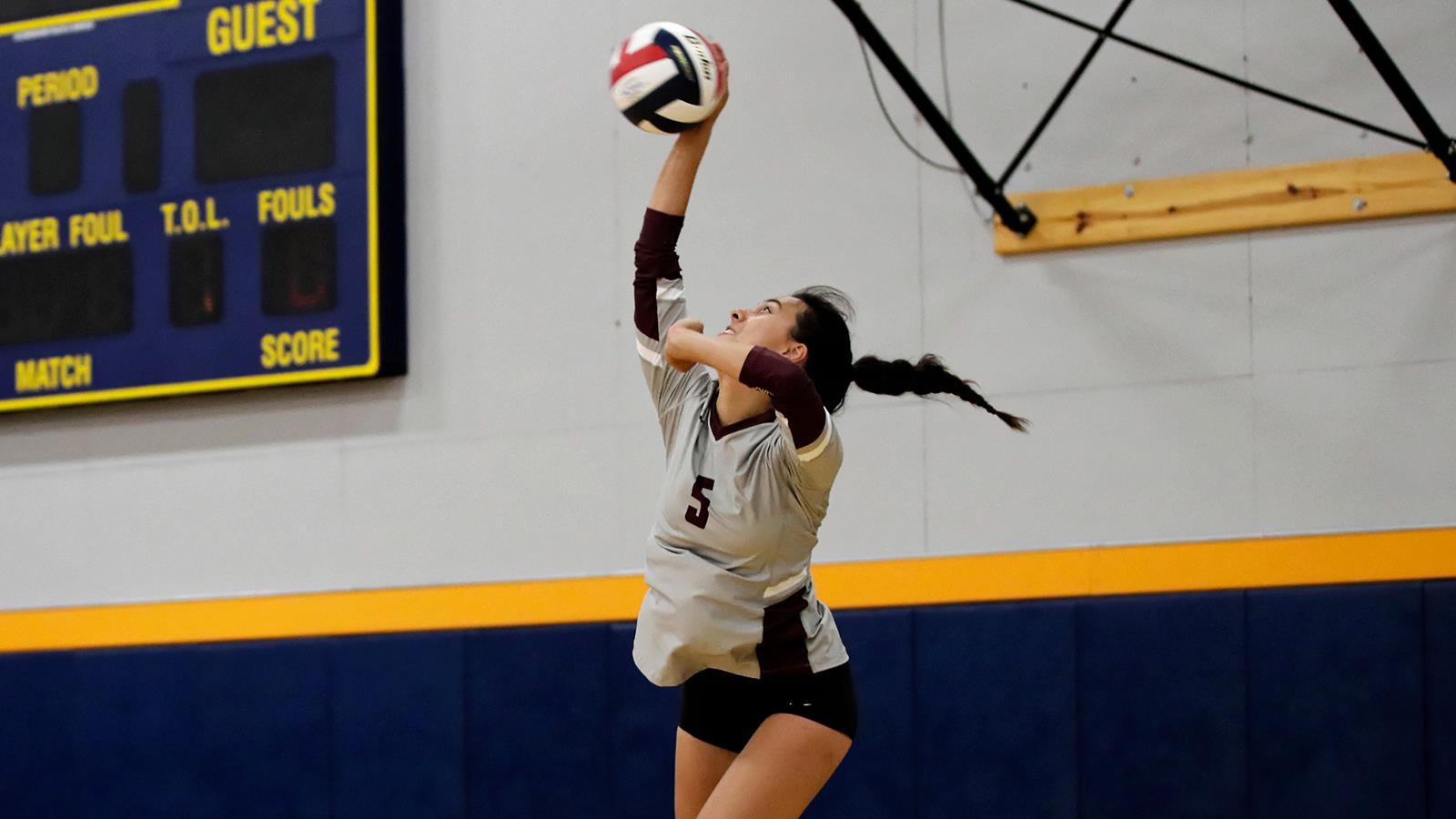 Austin Ibale - Volleyball - SPU Athletics