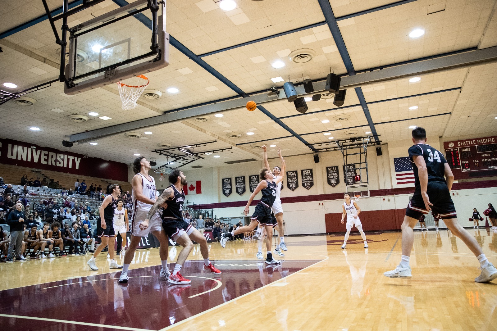 Anderson's Sensational Scoring Lifts Falcons over Seawolves - SPU Athletics