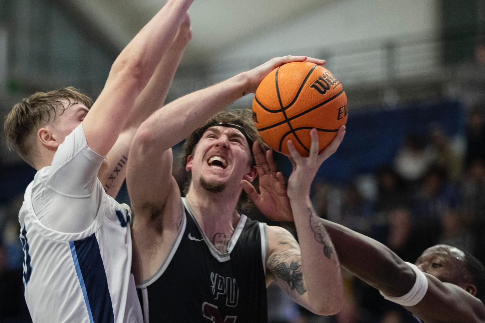 Shaw Anderson - Men's Basketball - SPU Athletics