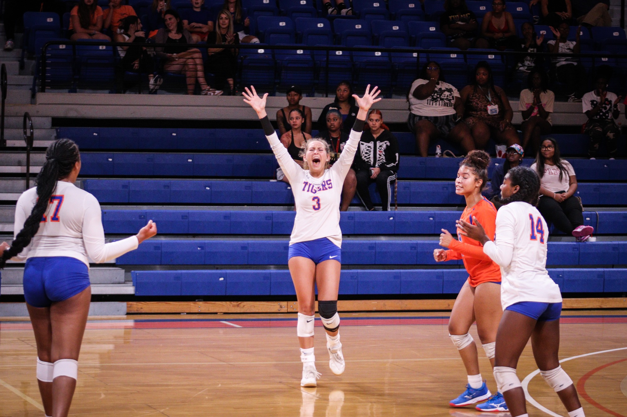 Lady Tigers Sweep Paine - Savannah State University Athletics