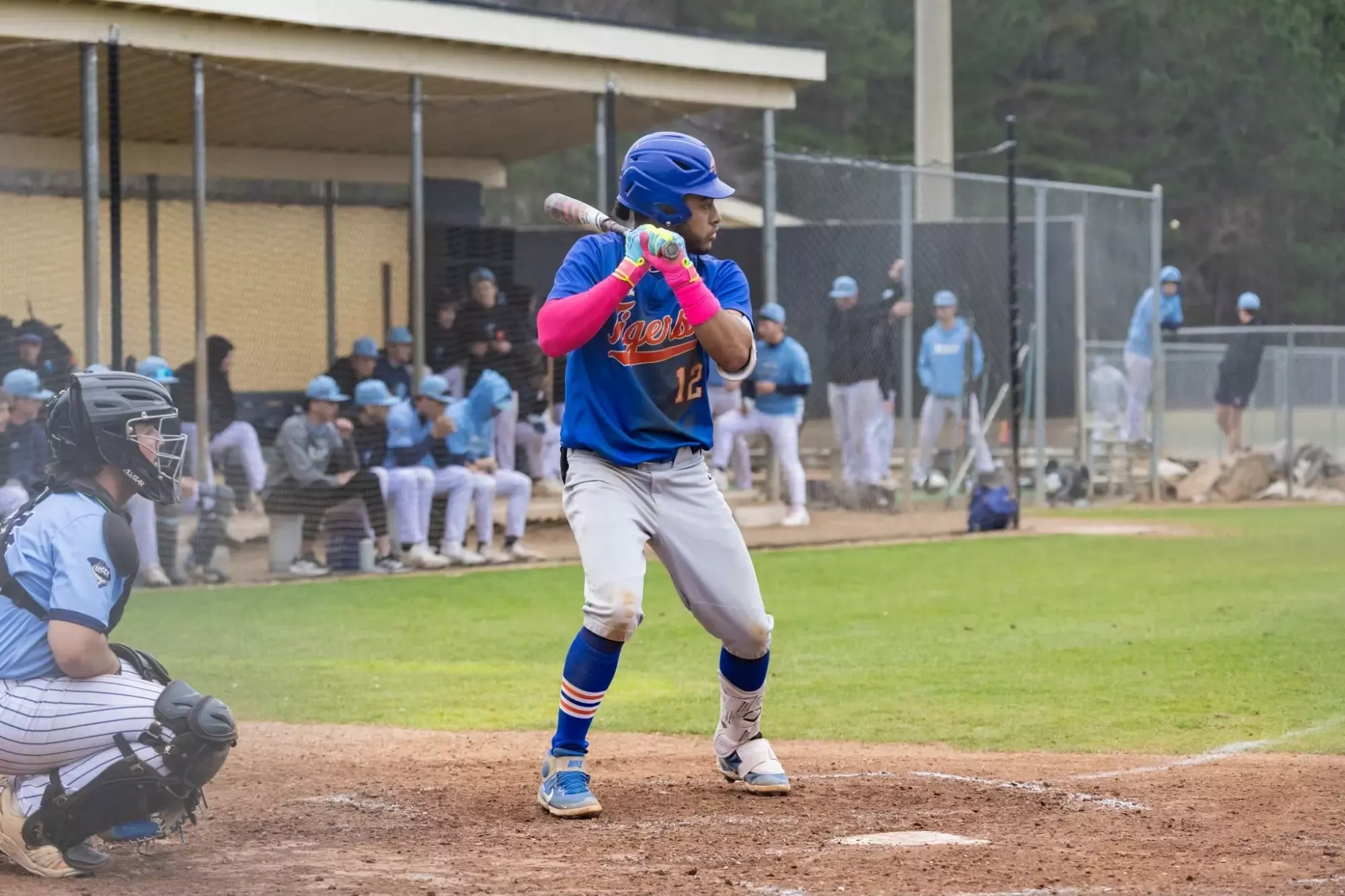 2025 Baseball Schedule - Savannah State University Athletics