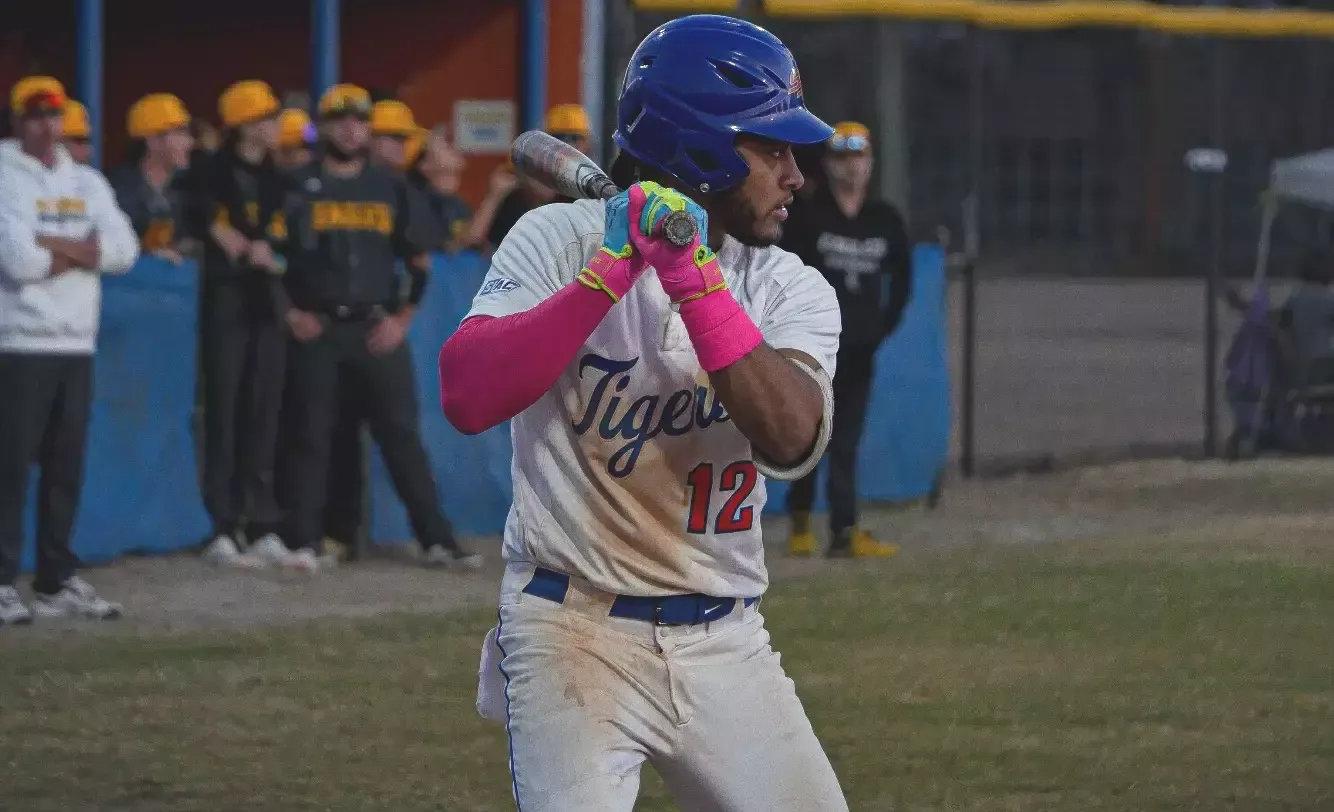 2025 Baseball Schedule - Savannah State University Athletics