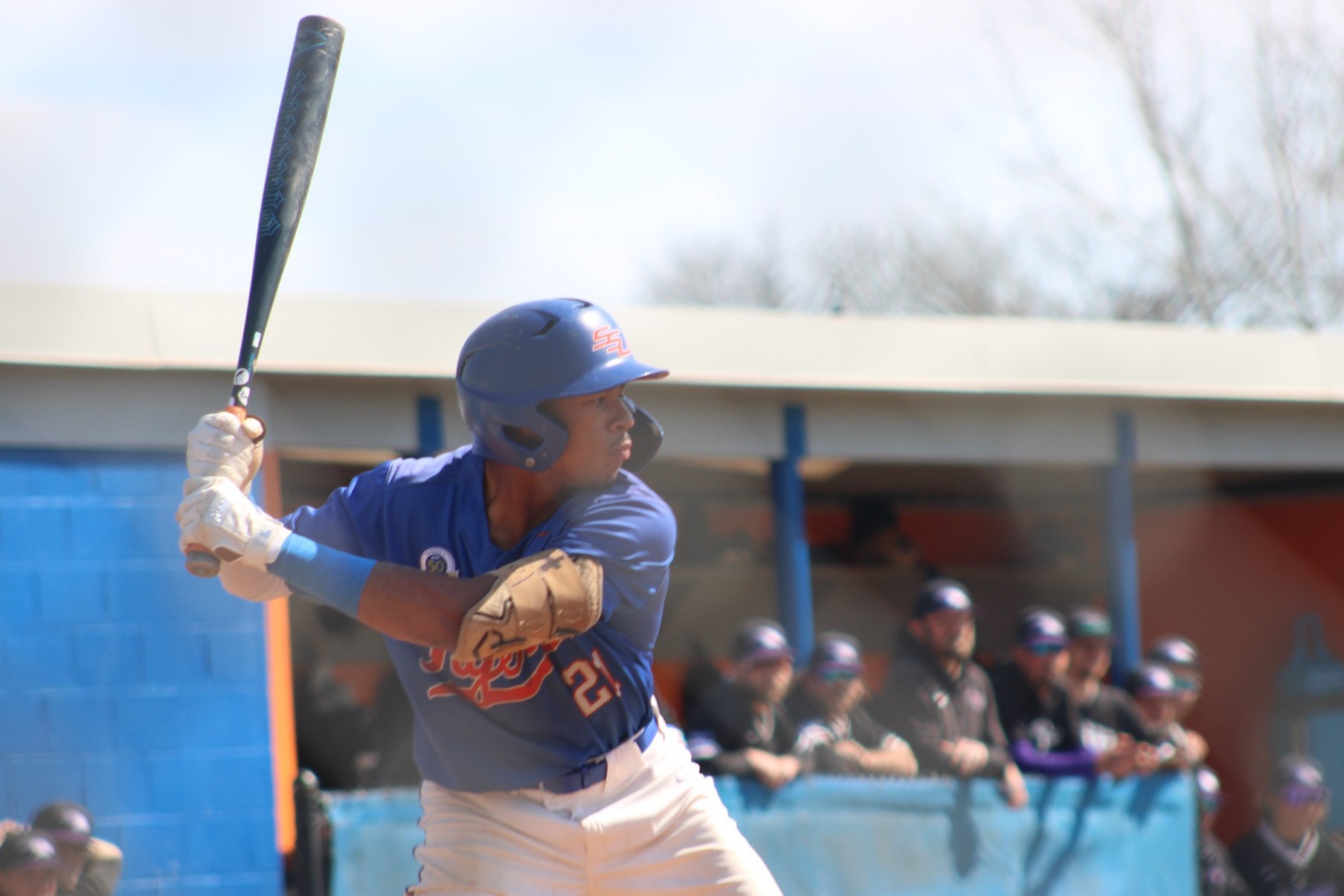 2025 Baseball Schedule - Savannah State University Athletics