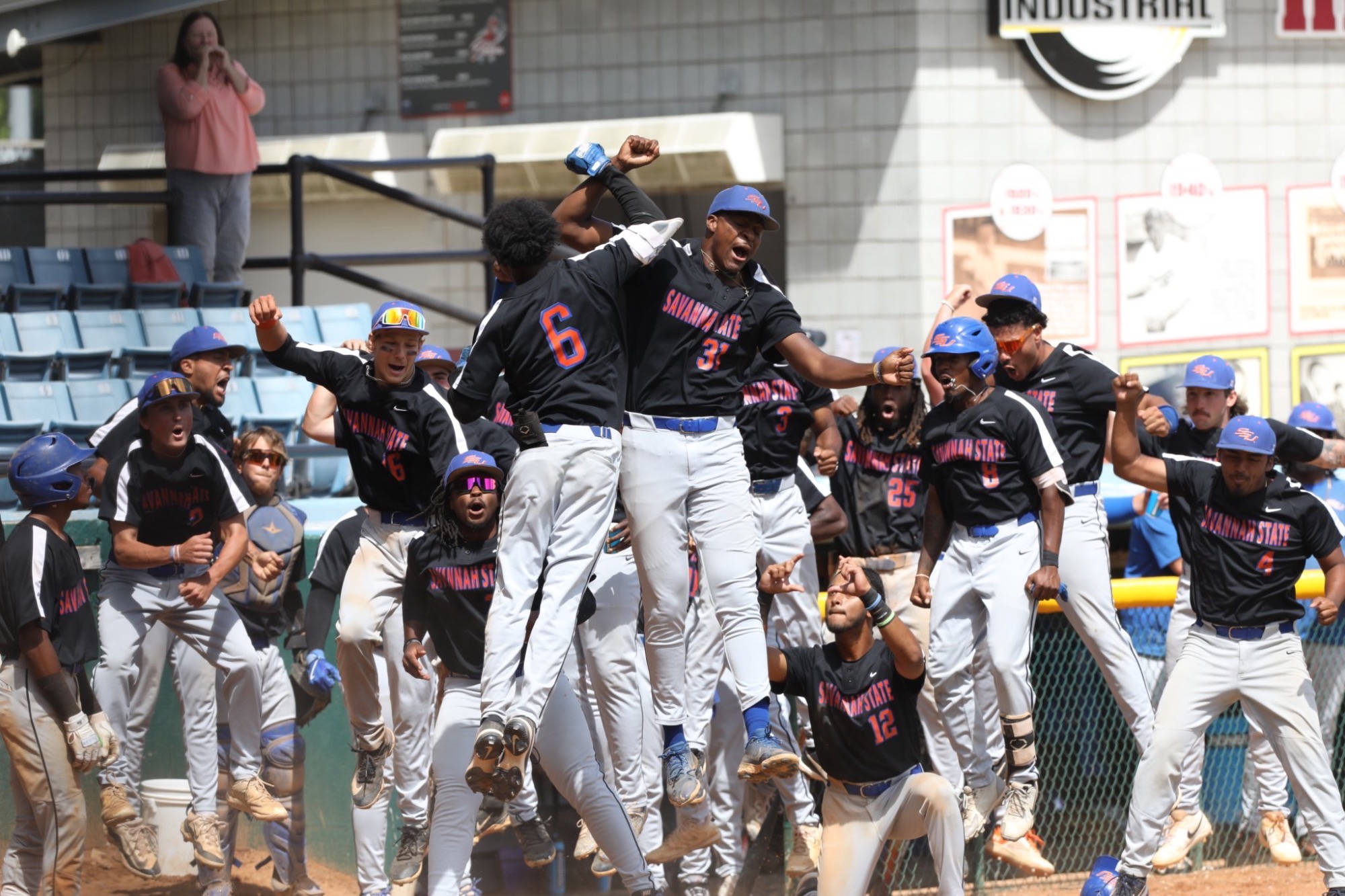 2025 Baseball Schedule - Savannah State University Athletics