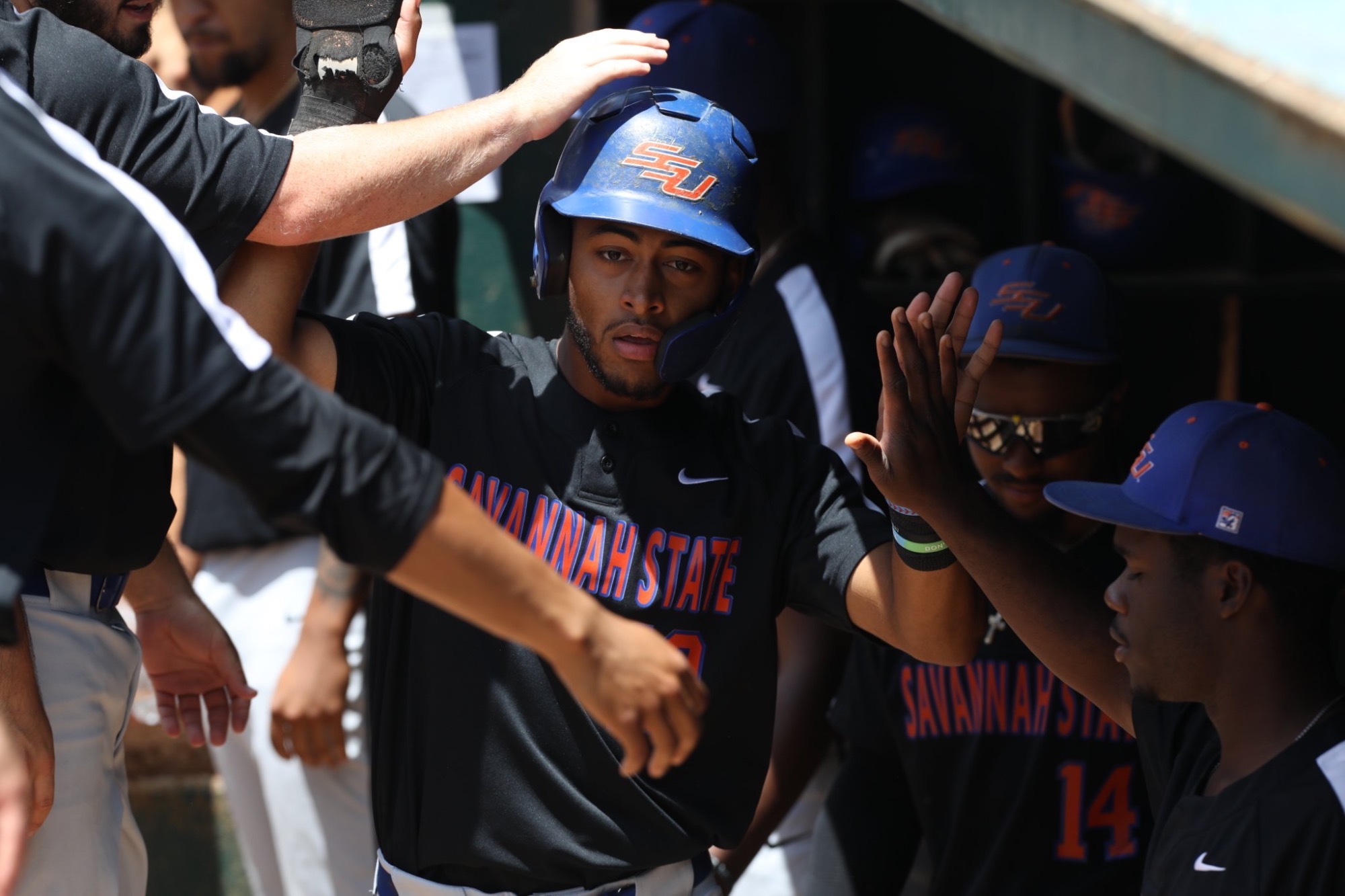 2025 Baseball Schedule - Savannah State University Athletics