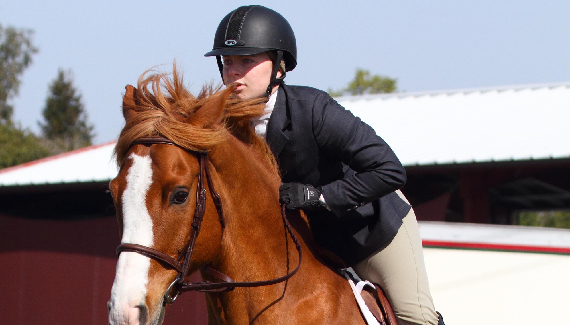 Equestrian - Stanford Recreation