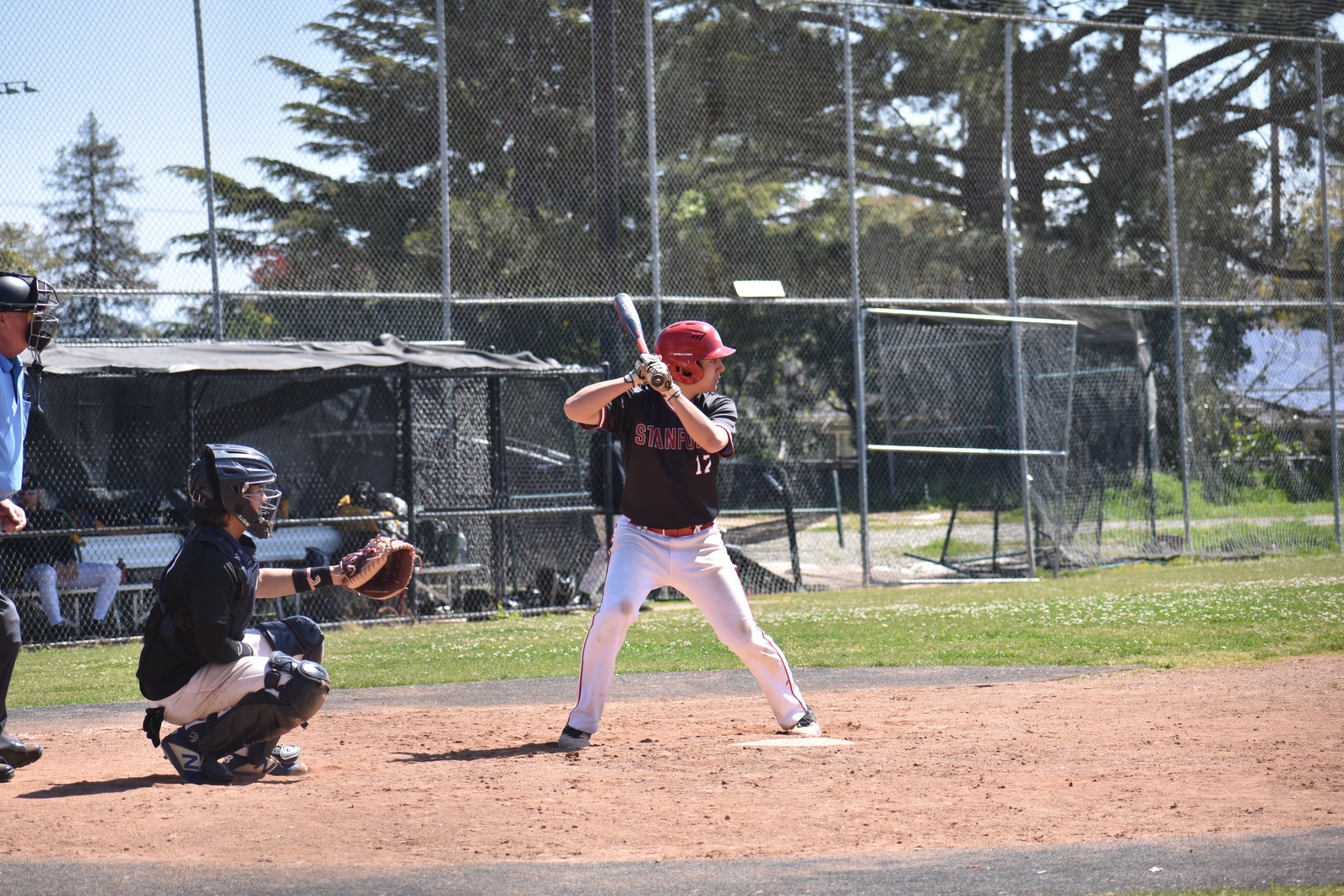 Jeremy Rubin - 2023-24 - Baseball - Stanford Recreation