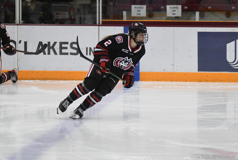 Dayle Ross - Women's Ice Hockey - St. Cloud State University Athletics