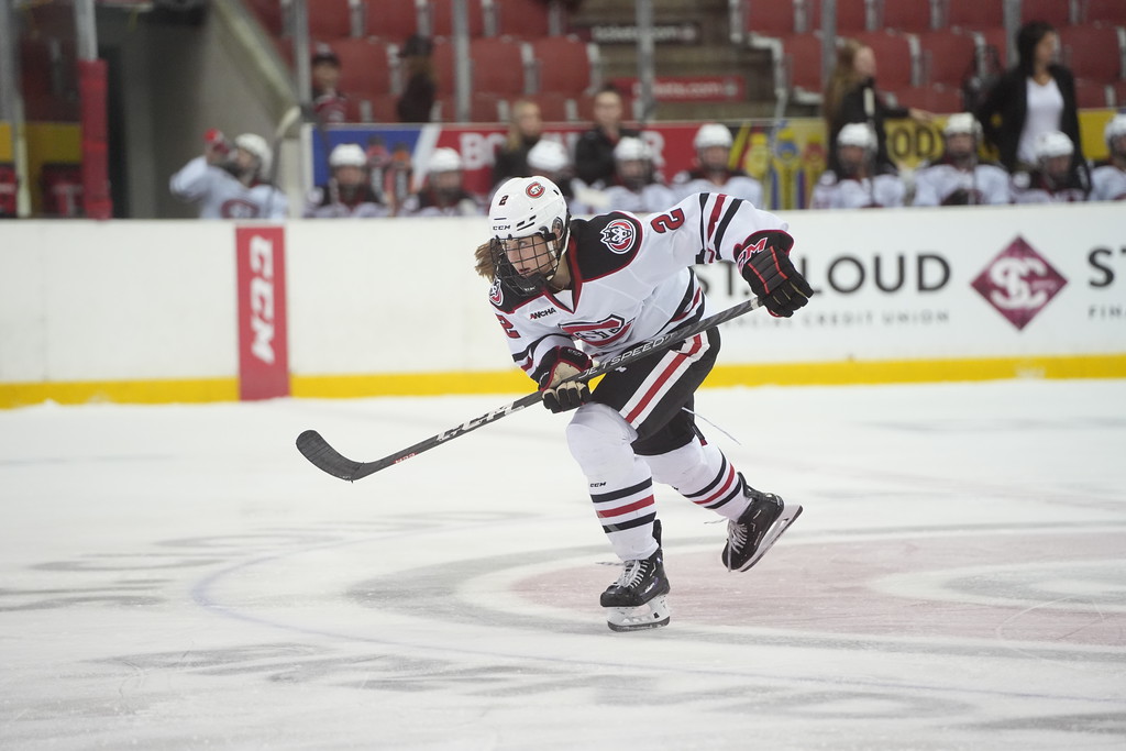 Dayle Ross - Women's Ice Hockey - St. Cloud State University Athletics