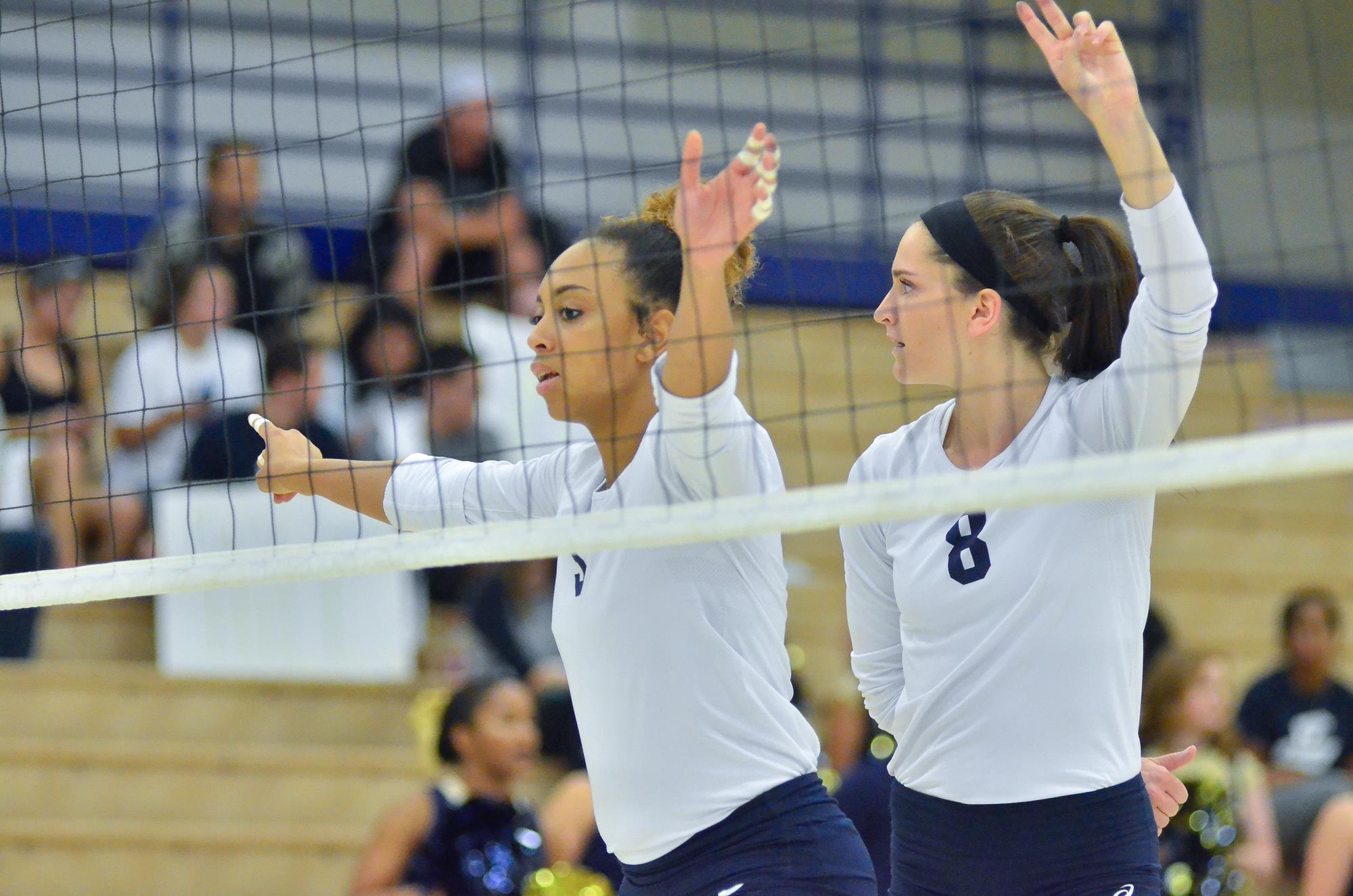 Alexa McAndrew - Women's Volleyball - St. Edward's University Athletics