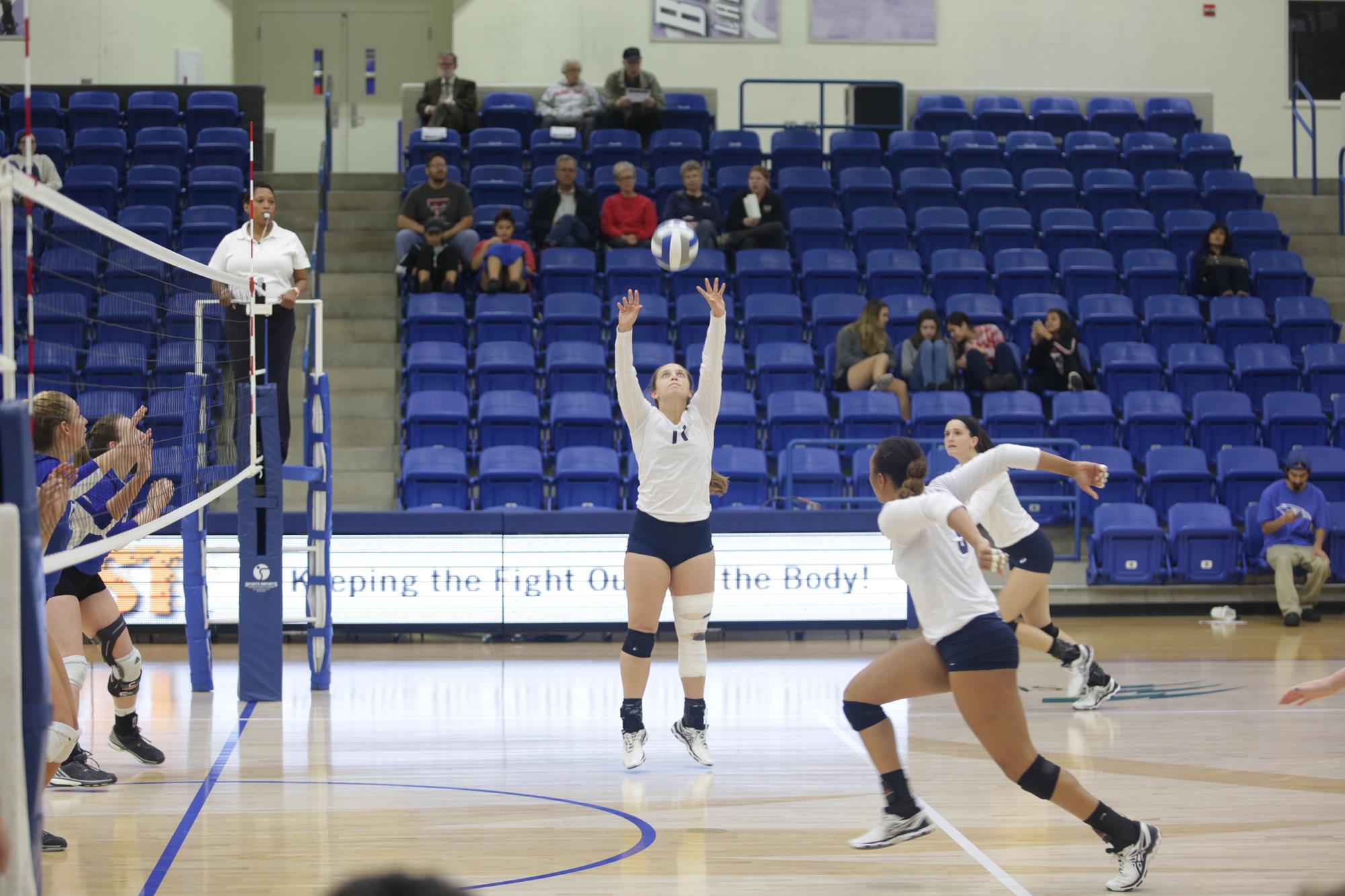 Avalon Frantz - Women's Volleyball - St. Edward's University Athletics