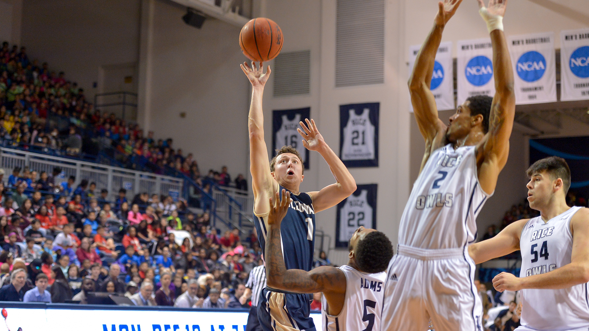 John Gramlich - Men's Basketball - St. Edward's University Athletics