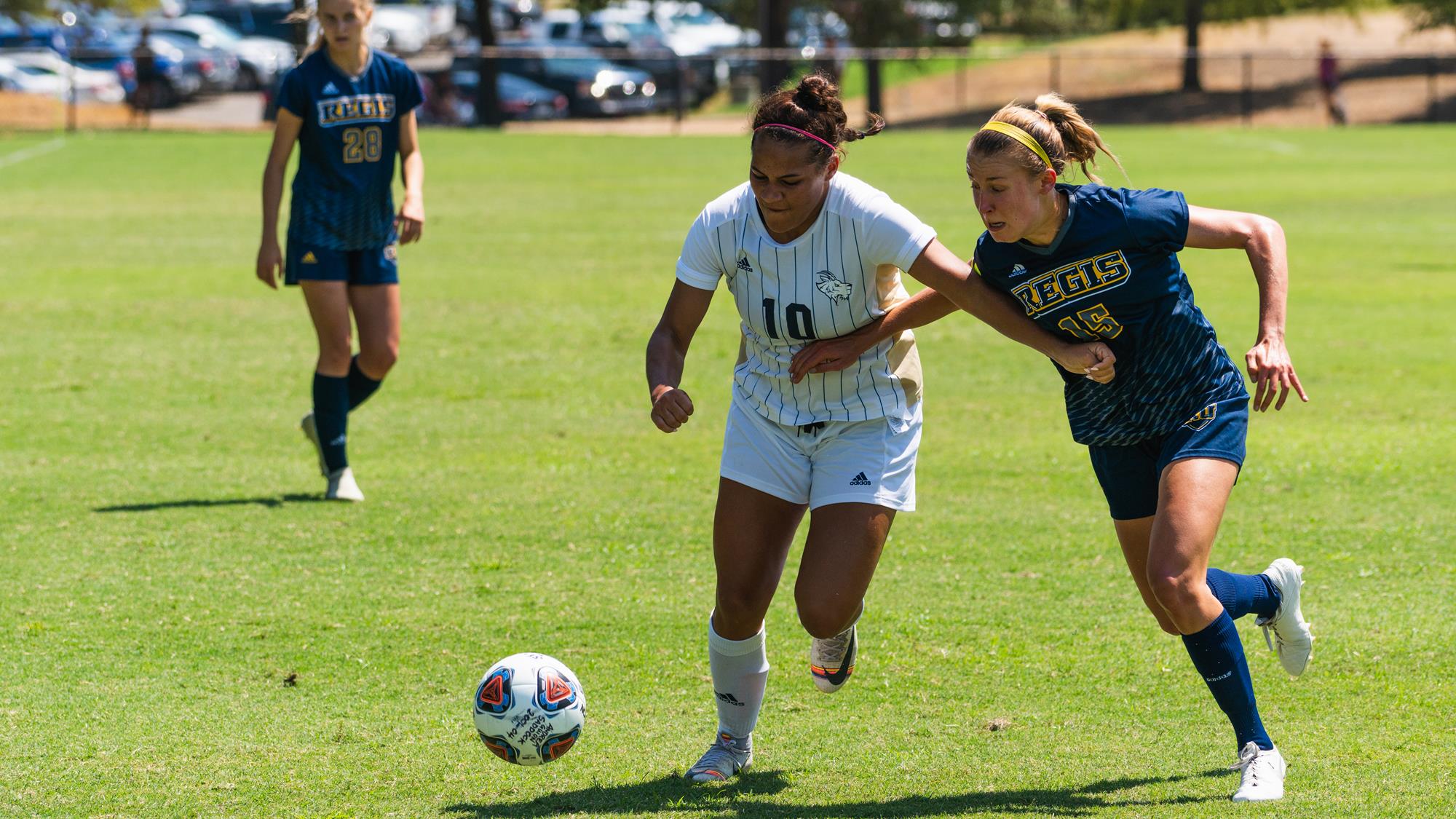 Ashley Wilson - Women's Soccer - St. Edward's University Athletics