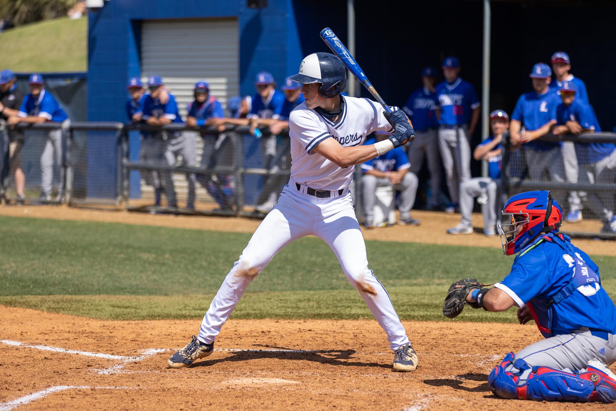 Davis Drewek - Baseball - St. Edward's University Athletics