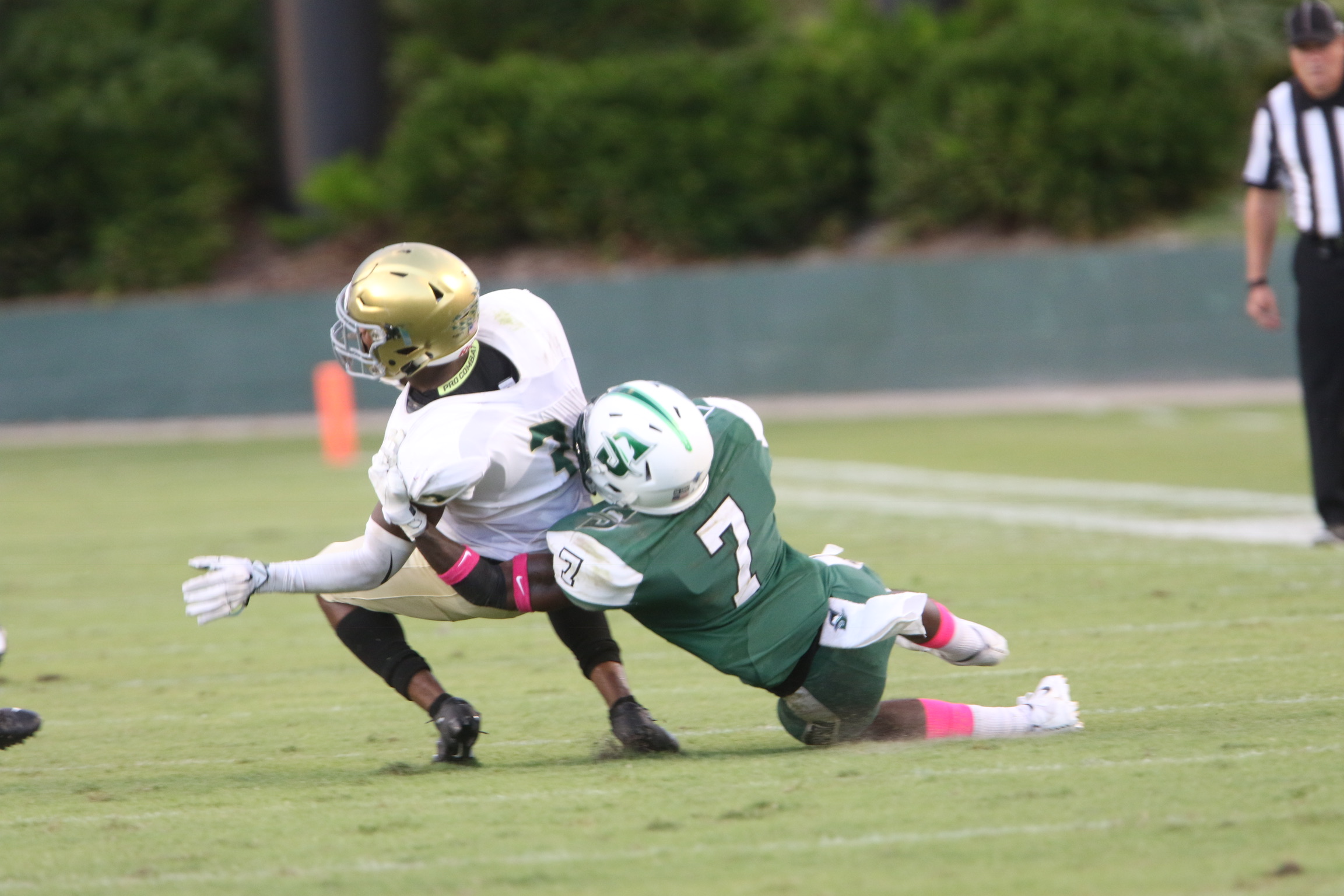 Dwight Lawrence - Football - Stetson University Athletics