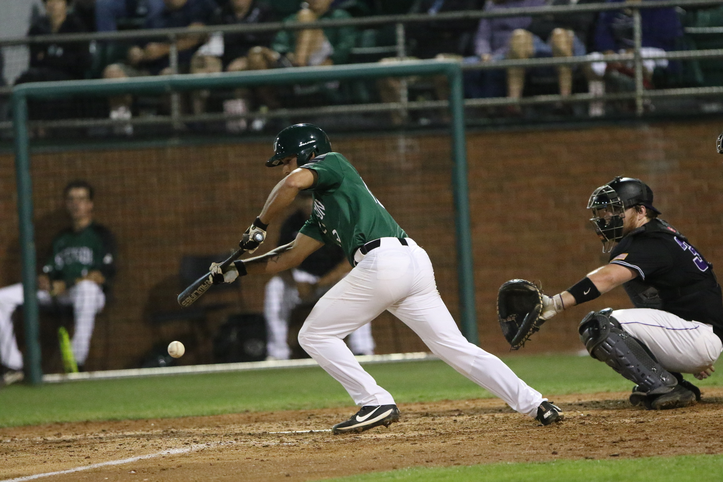 Nico Torino - Baseball - Stetson University Athletics