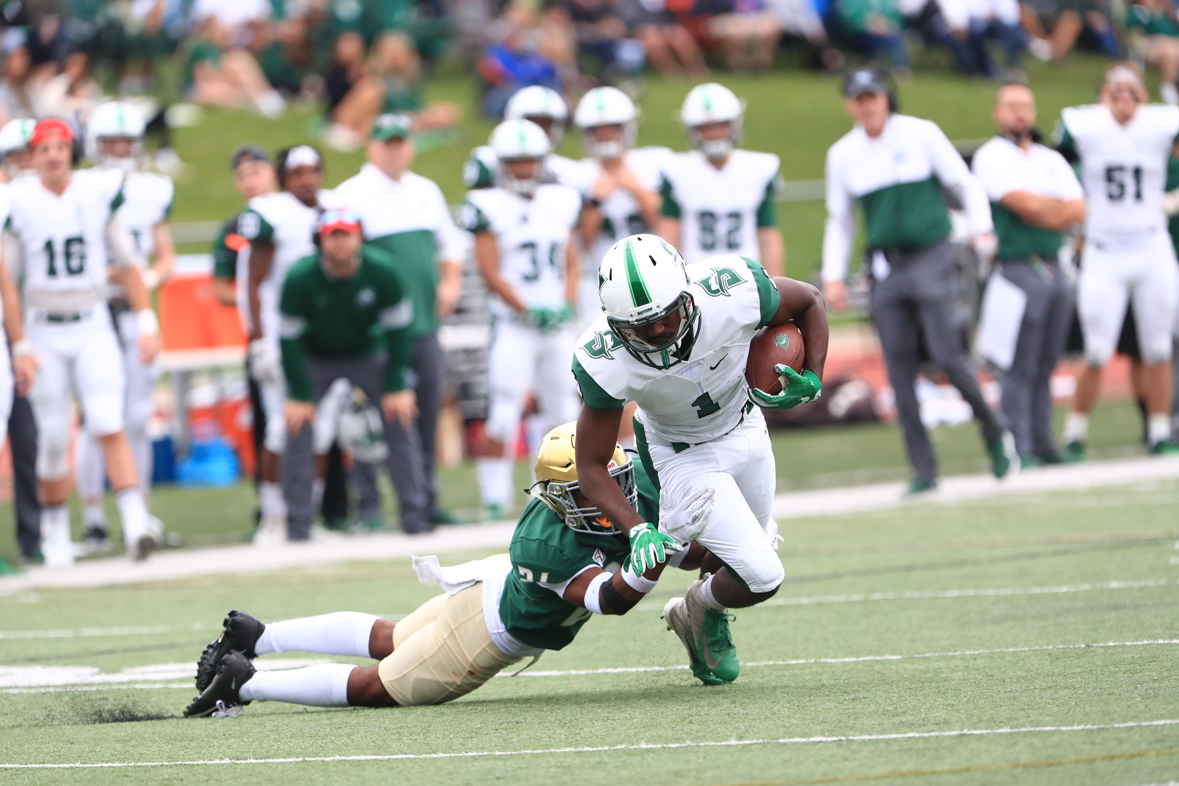 Bensley Bornelus - Football - Stetson University Athletics