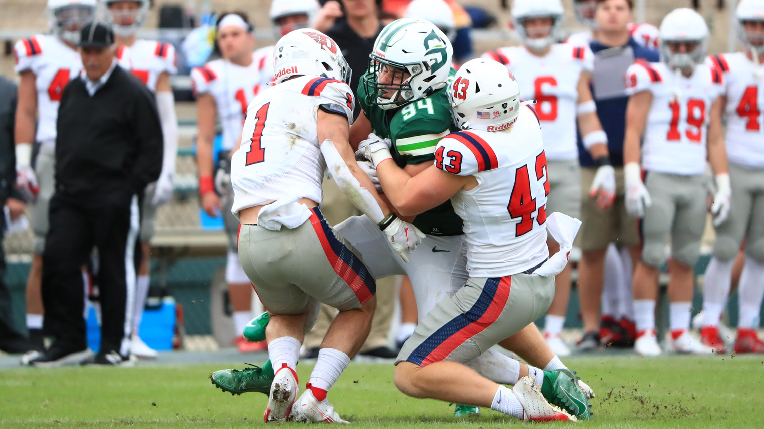 Dominic Carlucci - Football - Stetson University Athletics