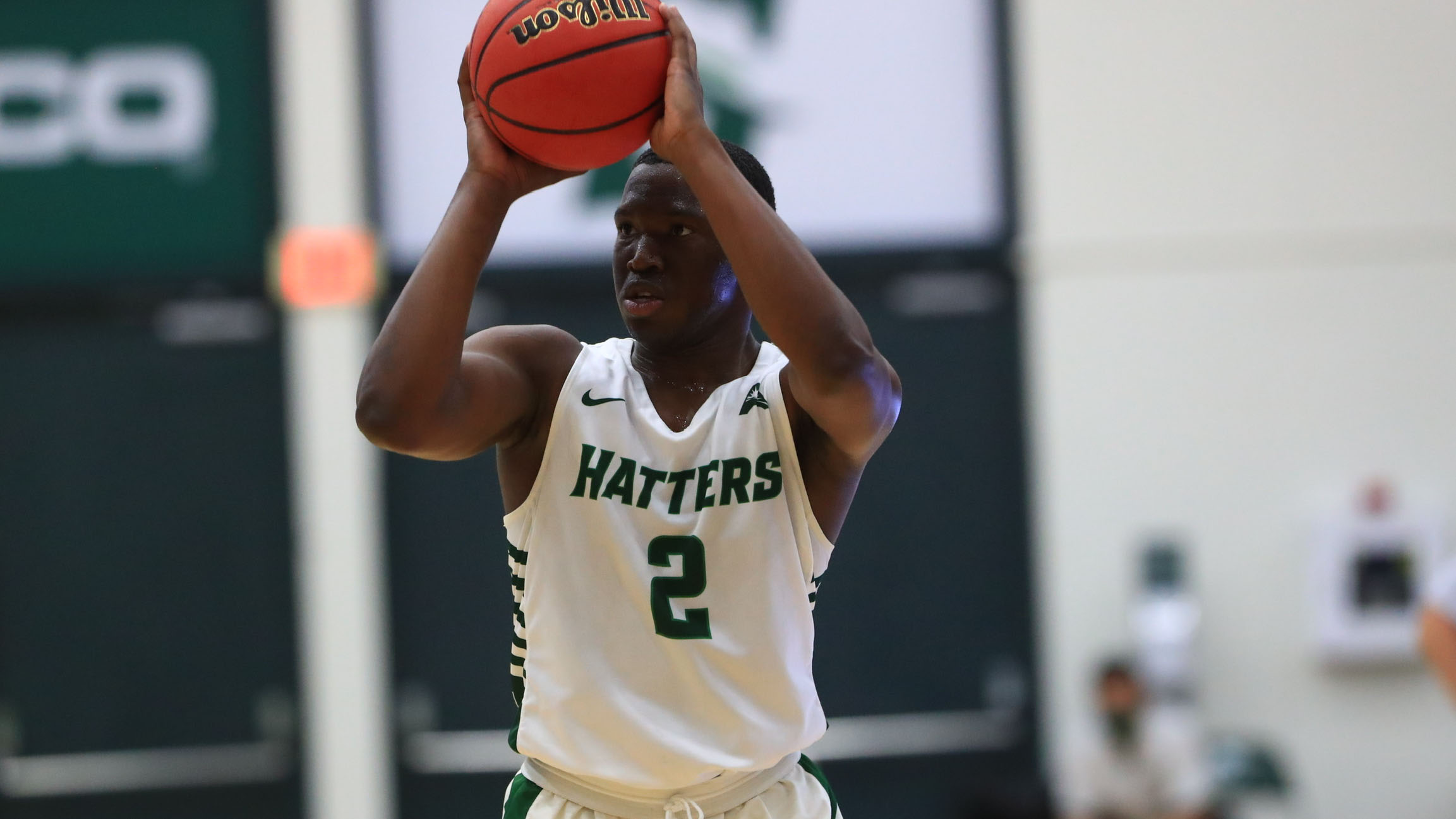 Rob Perry - Men's Basketball - Stetson University Athletics