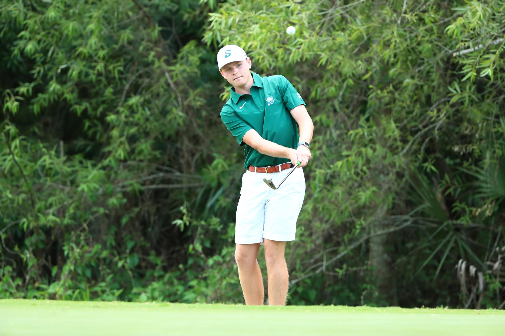 Matthew Feste - Men's Golf - Stetson University Athletics