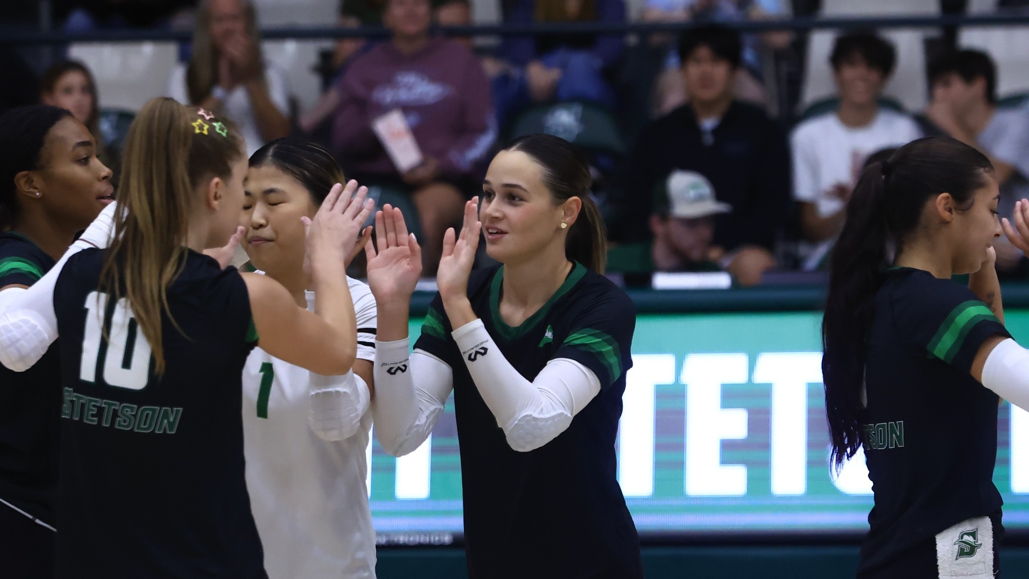 Hatters Down Knights in Straight Sets - Stetson University Athletics