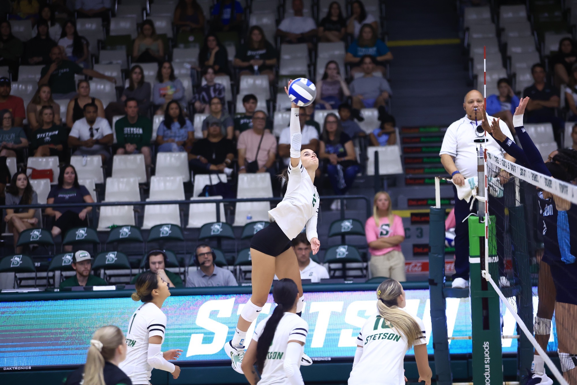 Hatters Clinch Playoff Spot in Win Over Dolphins - Stetson University ...