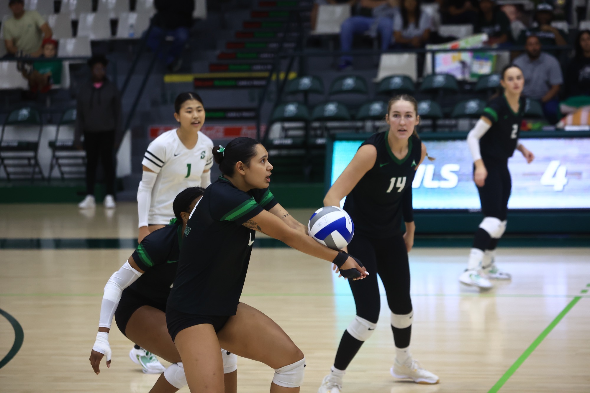 Hatters Fall to the Ospreys in Regular Season Finale - Stetson ...