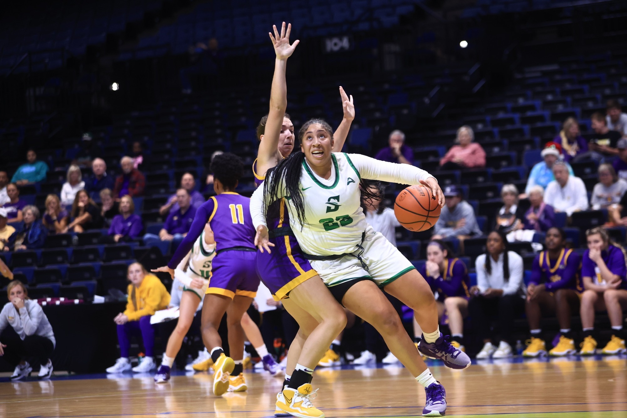 Stetson Fights Hard but Falls to Tennessee Tech 65-59 - Stetson ...