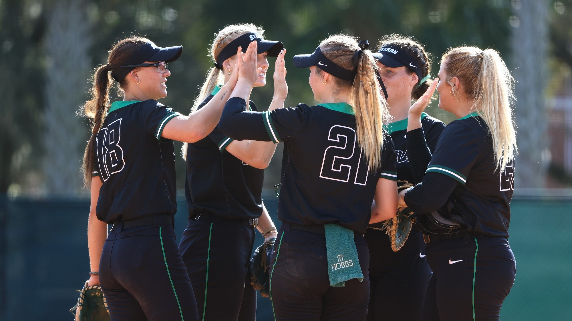 Hatters Fall to No. 11 Florida 8-0 - Stetson University Athletics