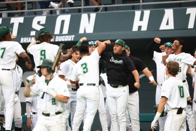 David Bermudez - Baseball - Stetson University Athletics