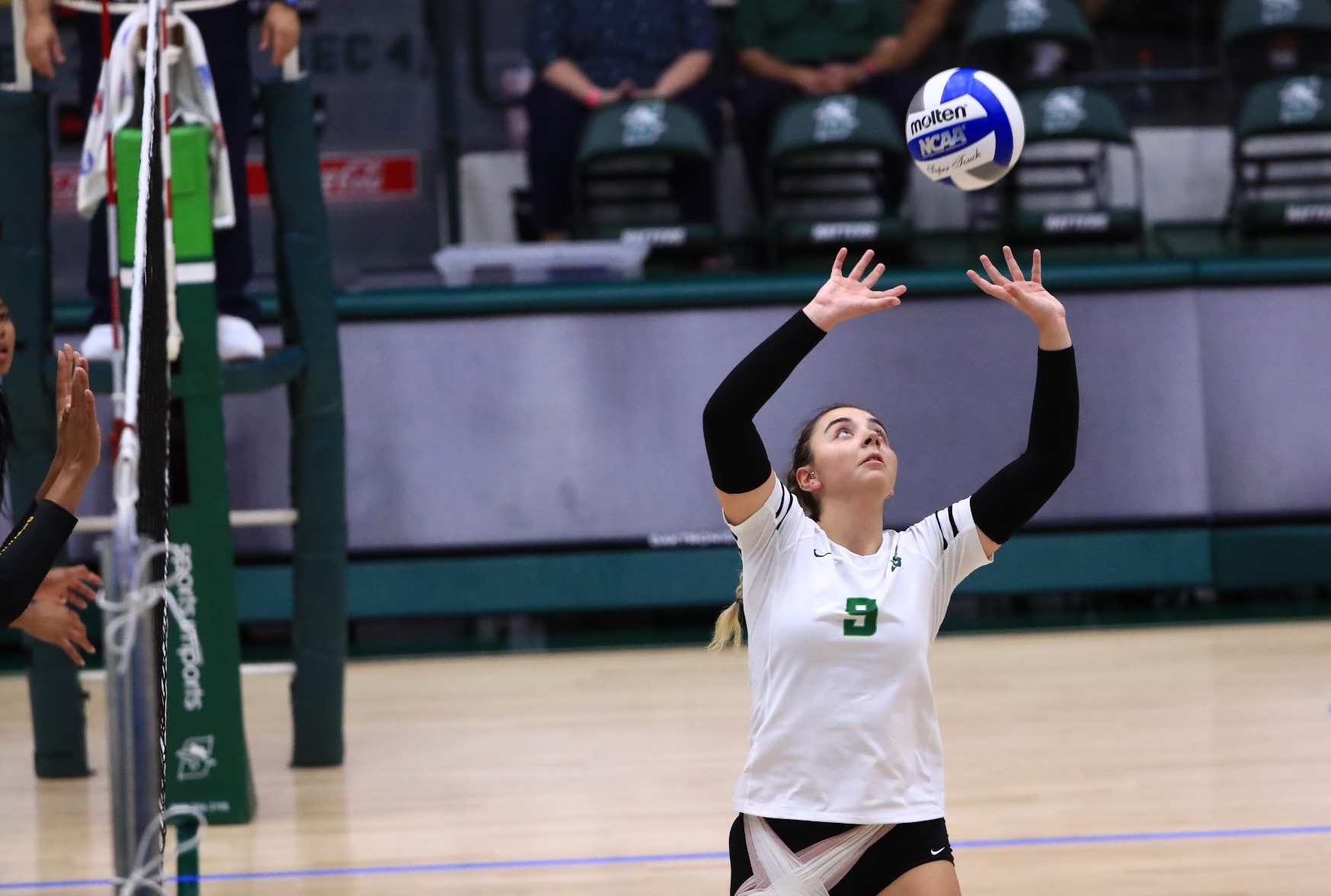 Hatters Take Both Games To Start Off the Eagle Invitational - Stetson ...