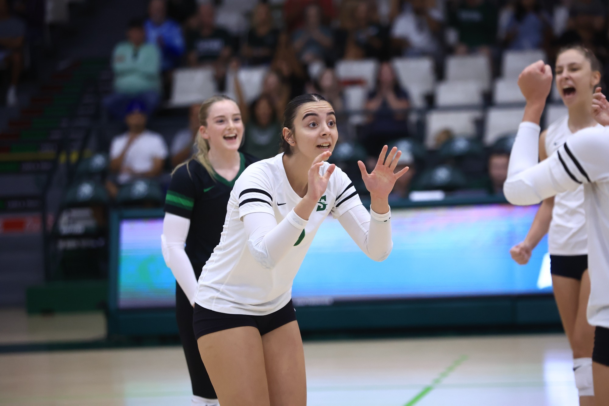 Elif Yasar - Volleyball - Stetson University Athletics
