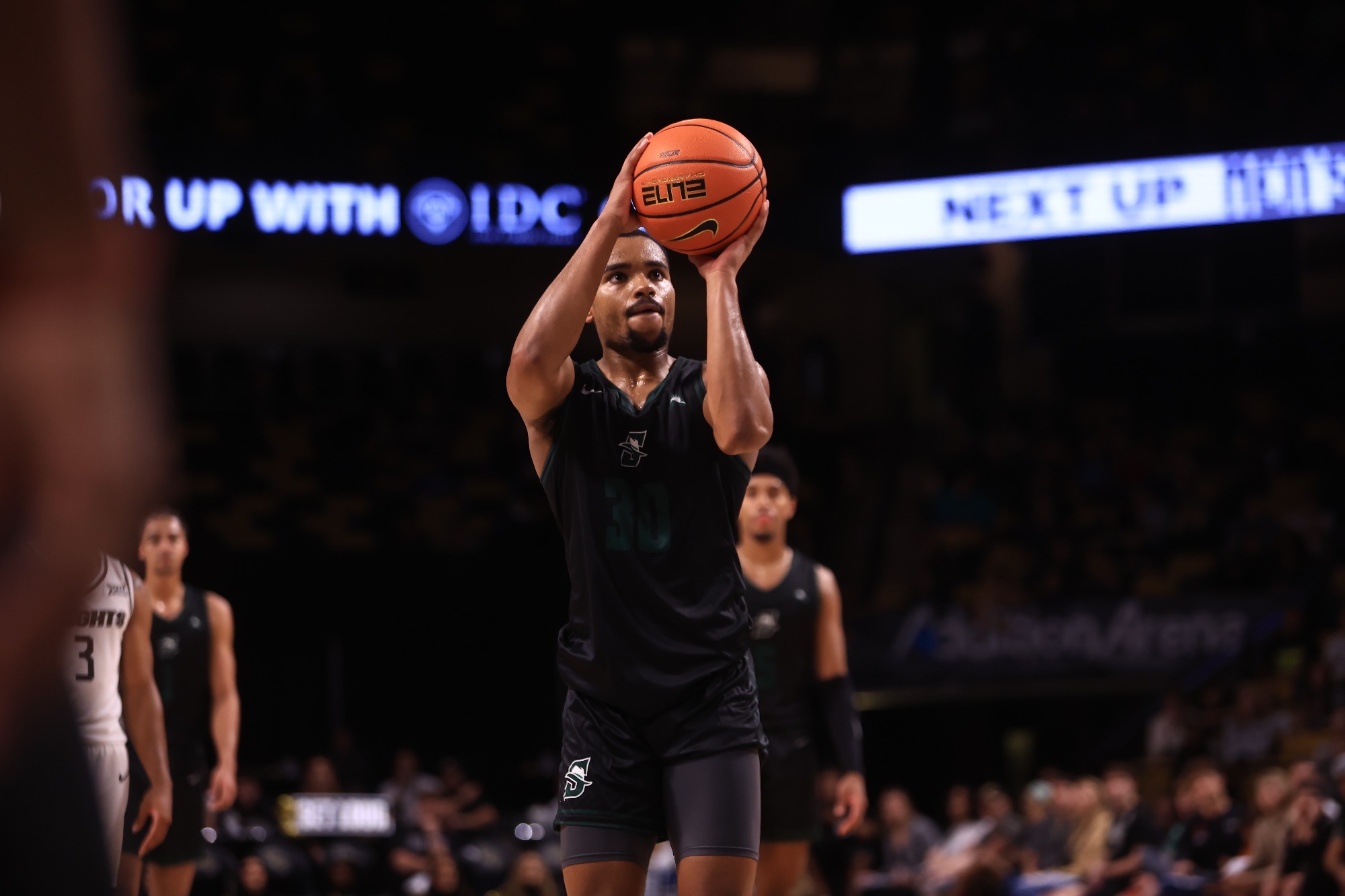Stephan Swenson - Men's Basketball - Stetson University Athletics