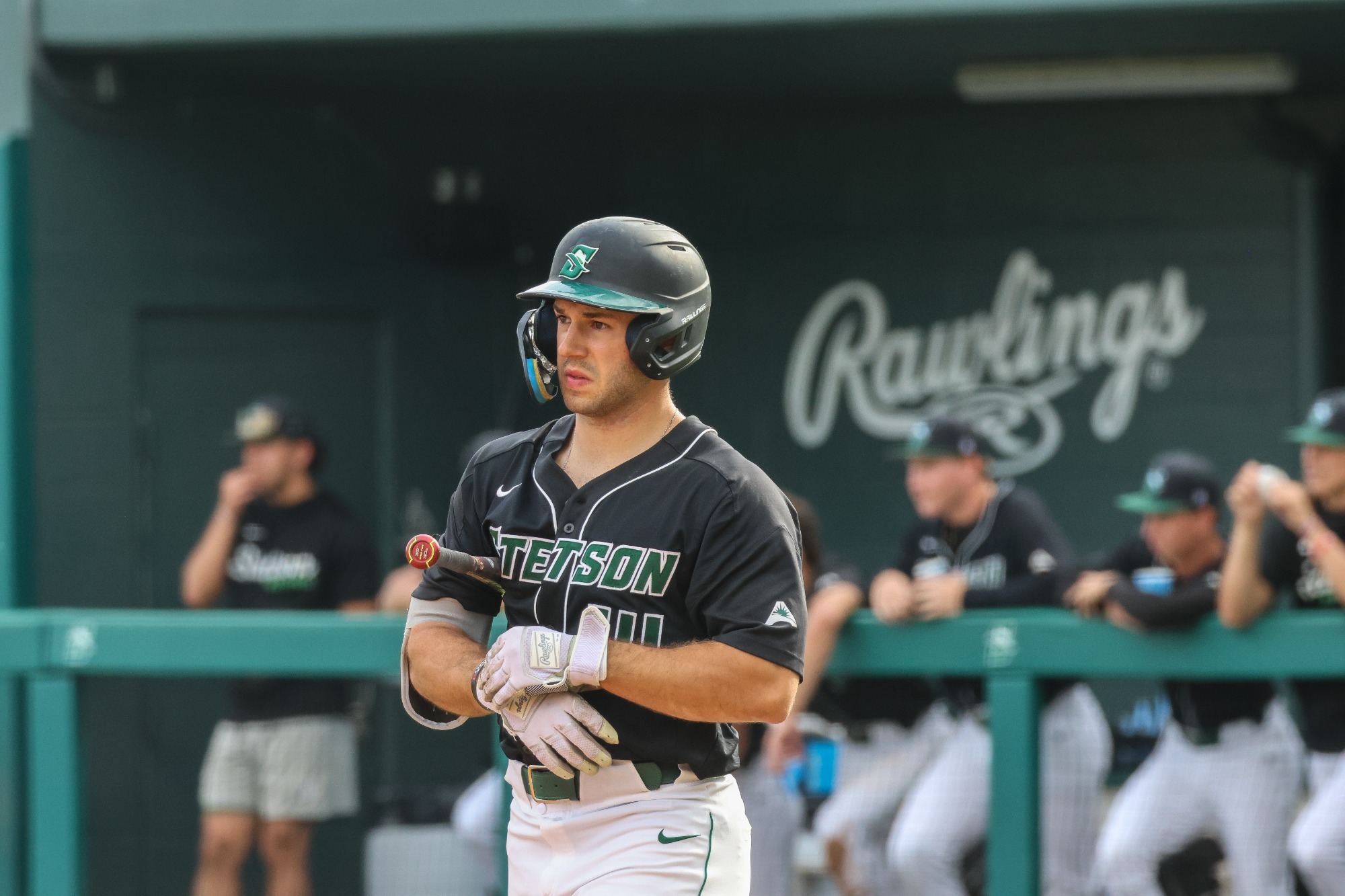 Mike Handal - Baseball - Stetson University Athletics