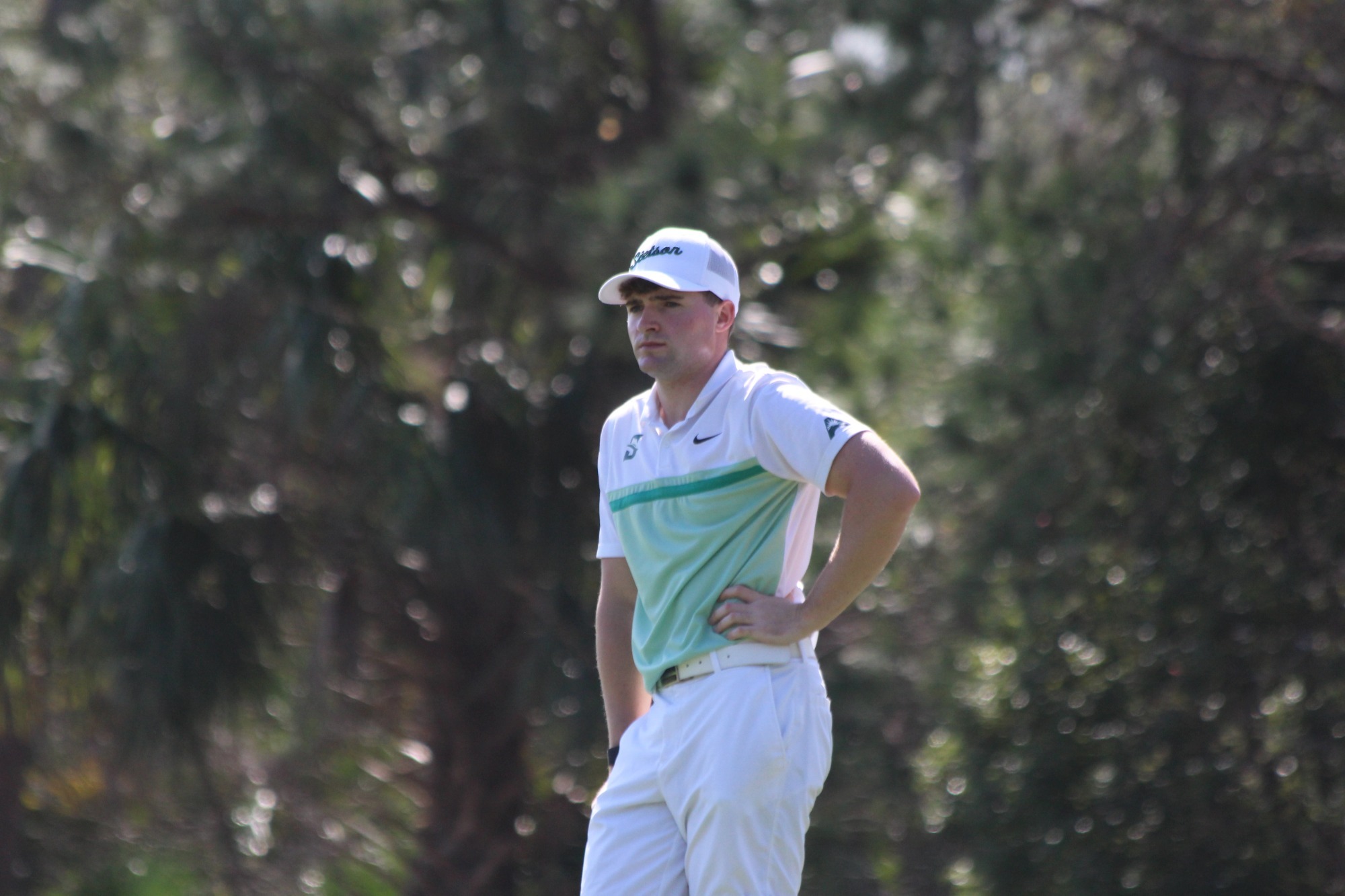 Dominic Clemons - Men's Golf - Stetson University Athletics