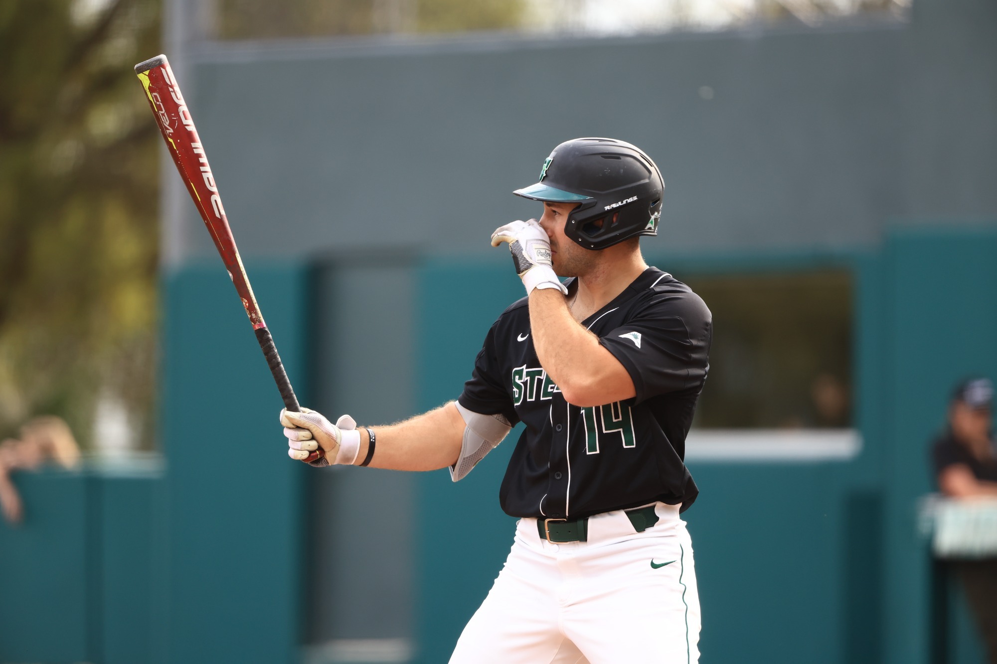 Mike Handal - Baseball - Stetson University Athletics