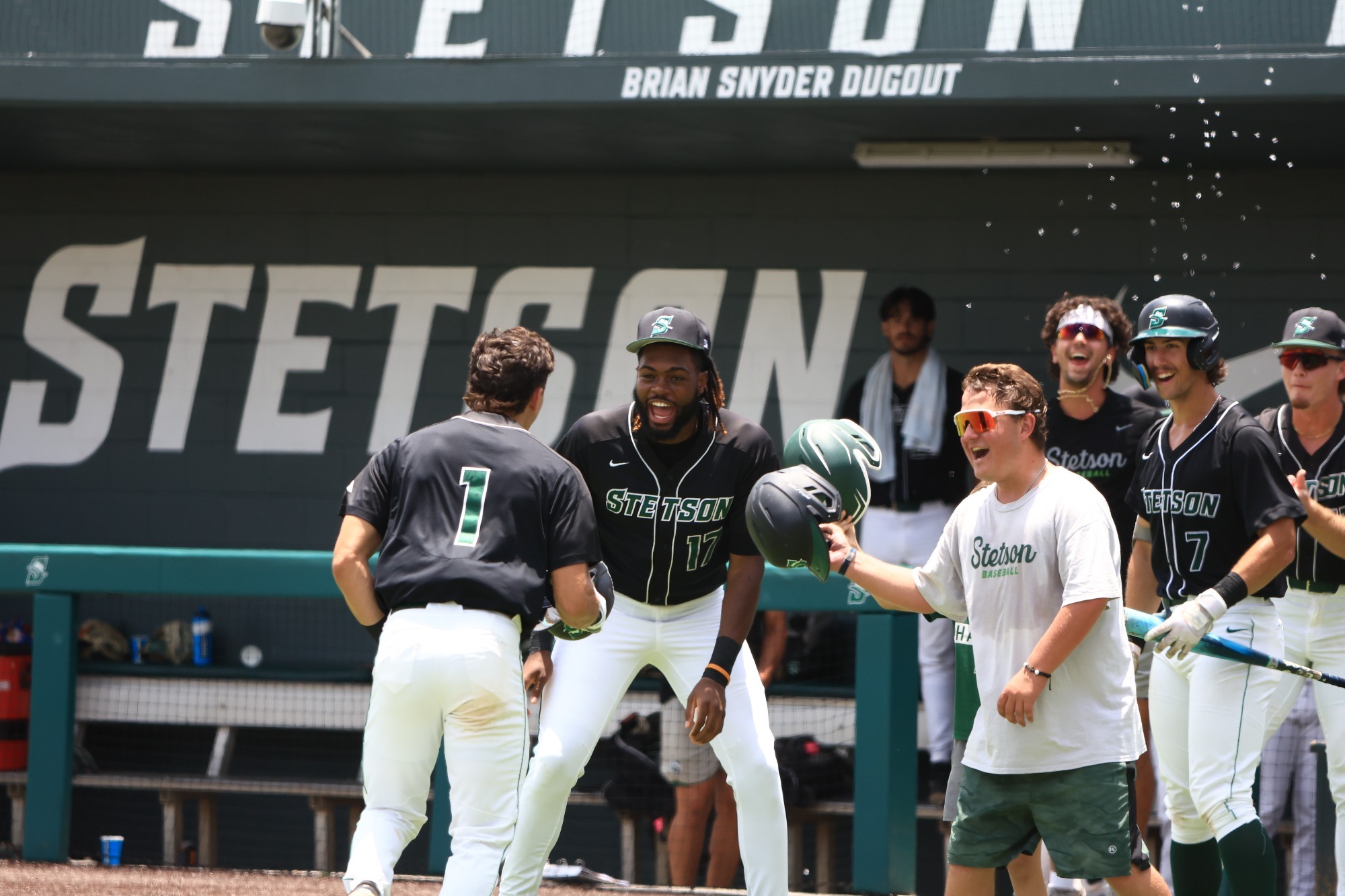 Stetson Baseball Releases Early Signing Class - Stetson University ...