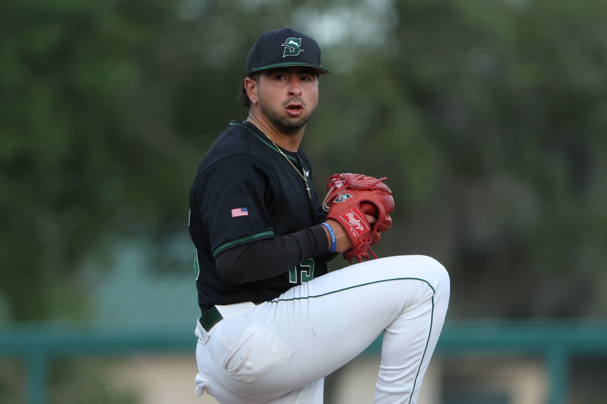 Stetson Baseball Unveils 2025 Schedule - Stetson University Athletics