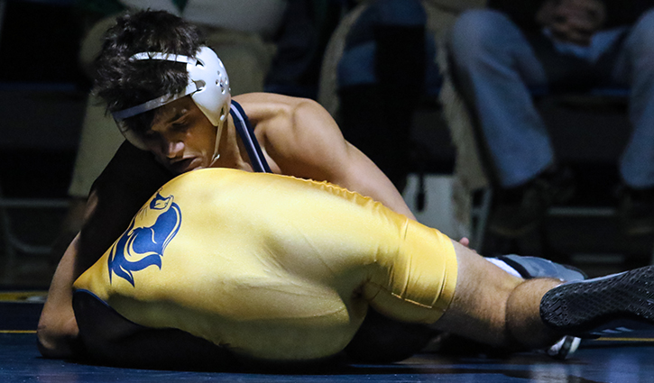 Stanich Takes Third at 141 to Lead No. 10 Wrestling at Princeton Open ...
