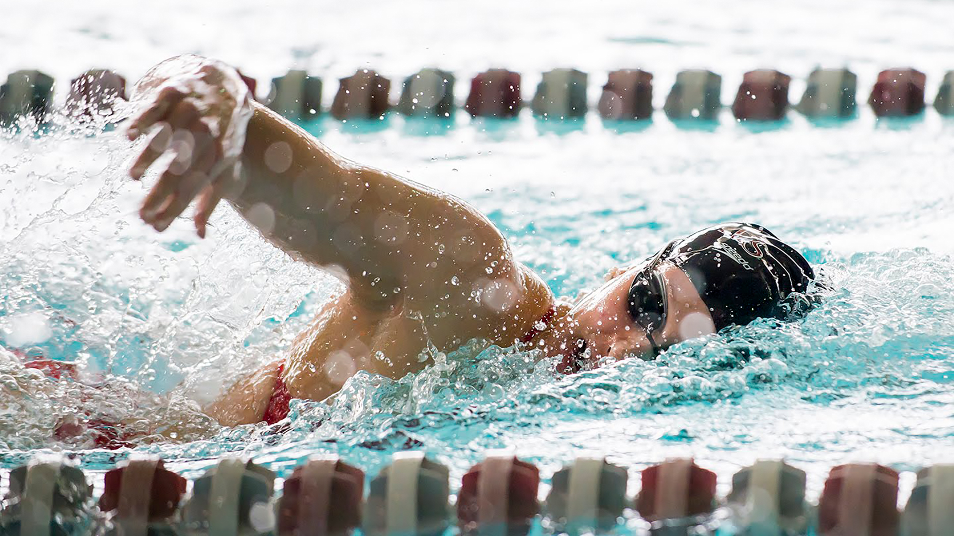 Isabella Fairman - 2019-20 - Women's Swimming - Stevens Institute of ...